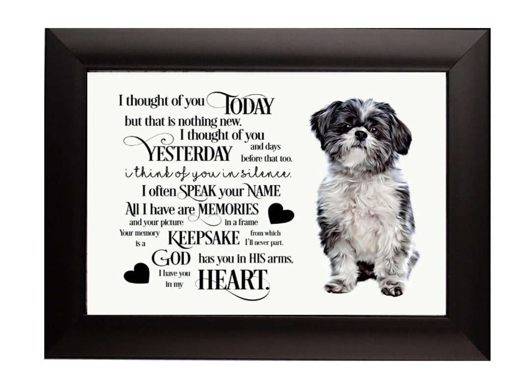 Shih Tzu Black and White Dog RIP Photo Frame 6 X 4 Inches I Thought of ...