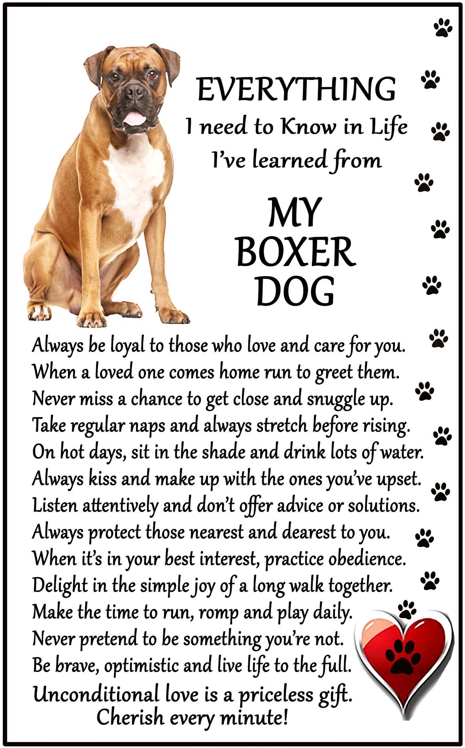 Boxer Dog Gift - Etsy UK
