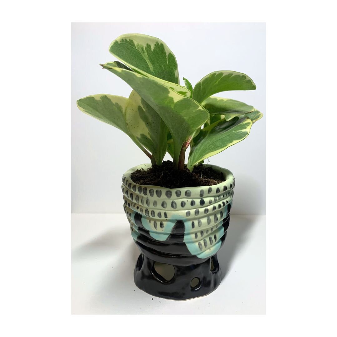 4 Ceramic Coil Planter With Drainage Holes // Handmade Gift for Plant ...
