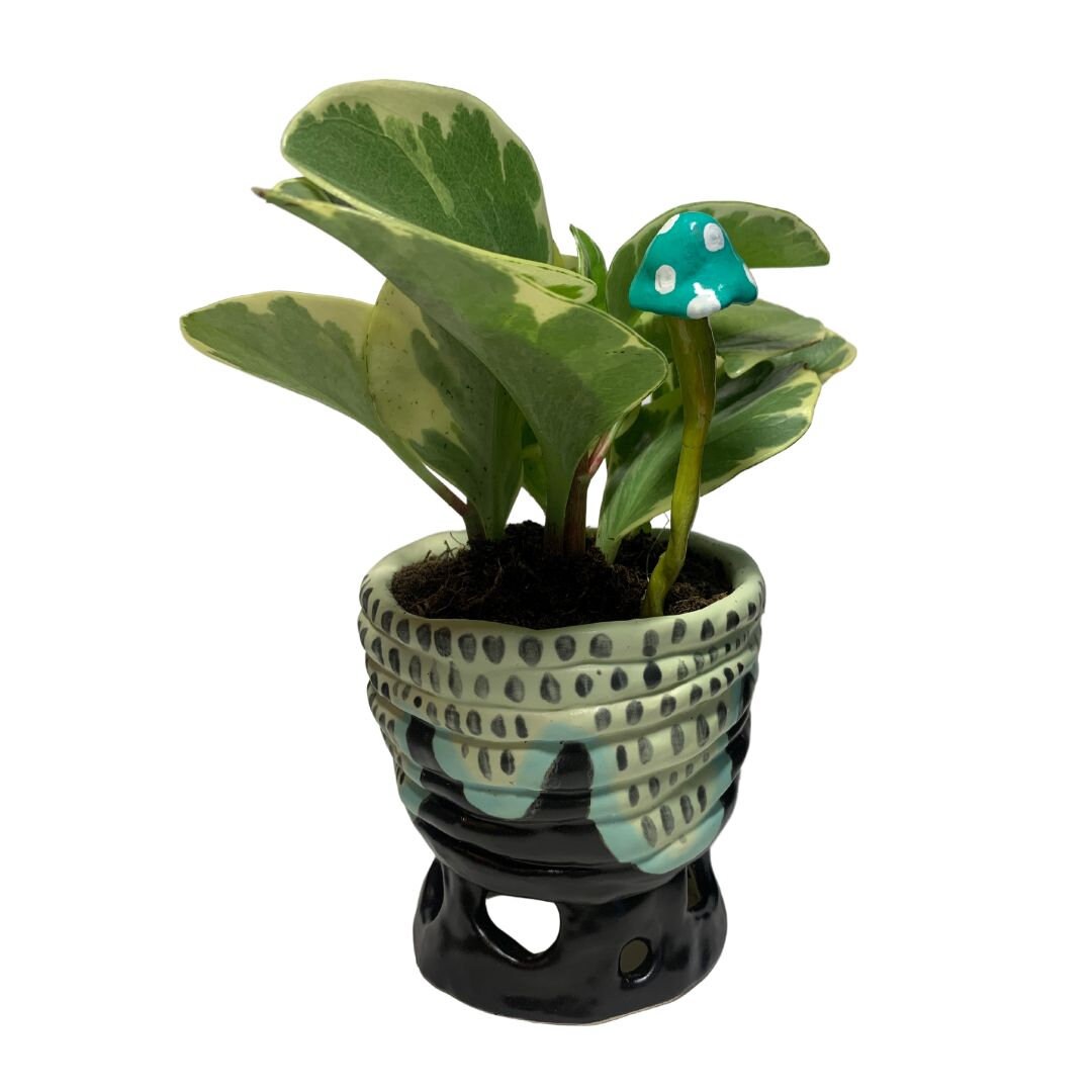 4 Ceramic Coil Planter With Drainage Holes // Handmade Gift for Plant ...