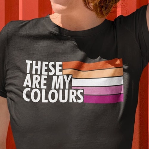 Pride Flag Rainbow Shirt Gay Pride Pocket T Shirt LGBT - Etsy