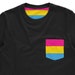 Pansexual Shirt Pansexual Flag T Shirt Pan Pride - Etsy