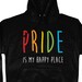 Polysexual Pride Hoodie Poly Pride Flag Sweatshirt Unisex LGBT Hoodie ...