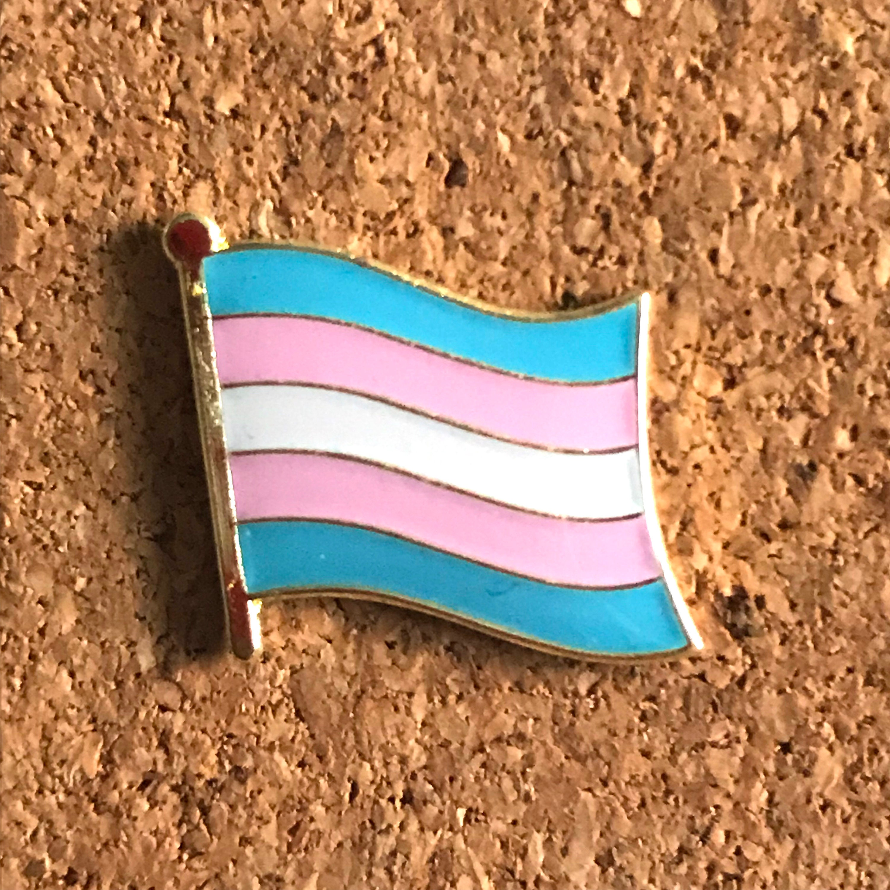 Trans Pride Pin Transgender Flag Pin Badge Trans FTM MTF | Etsy
