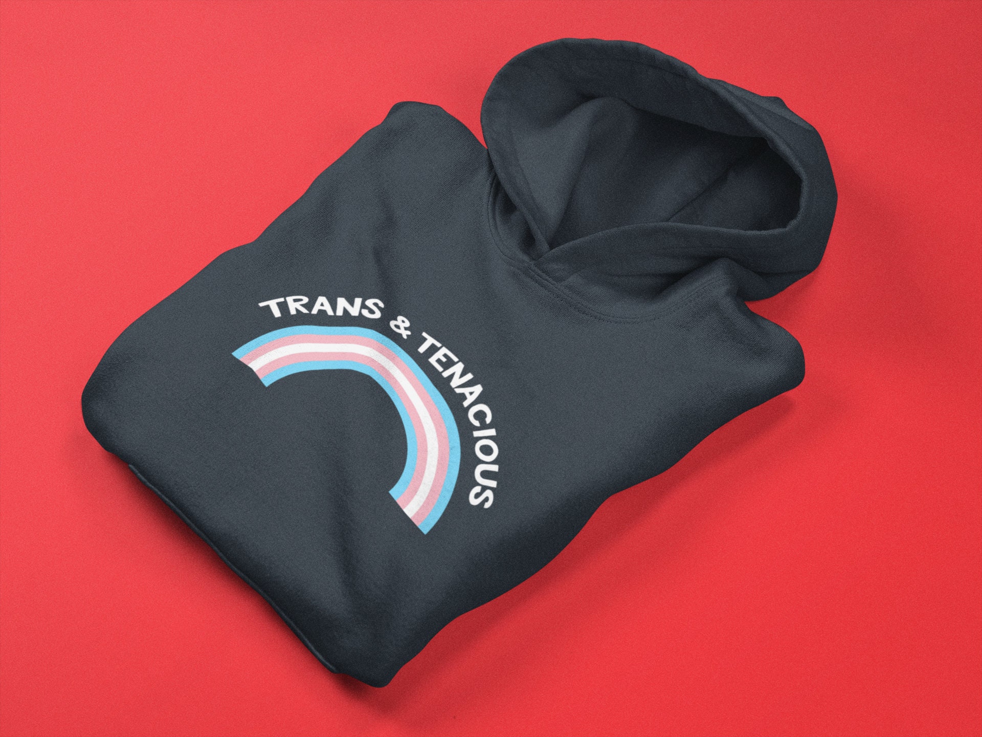 Trans Pride Hoodie Transgender Pride Flag Sweatshirt | Etsy