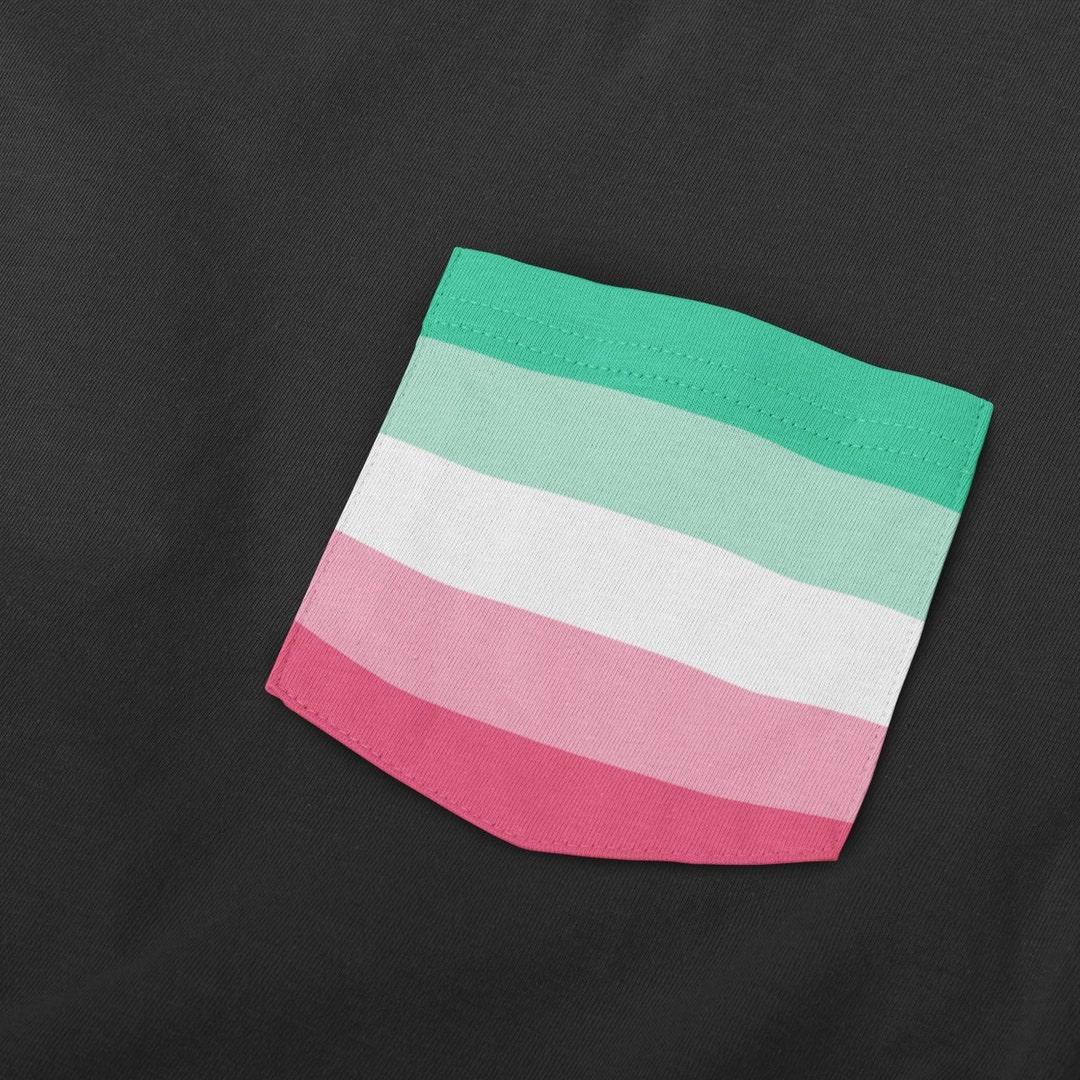 Abrosexual Pride Shirt Abrosexual Flag T Shirt Abro Pride Queer Pride ...