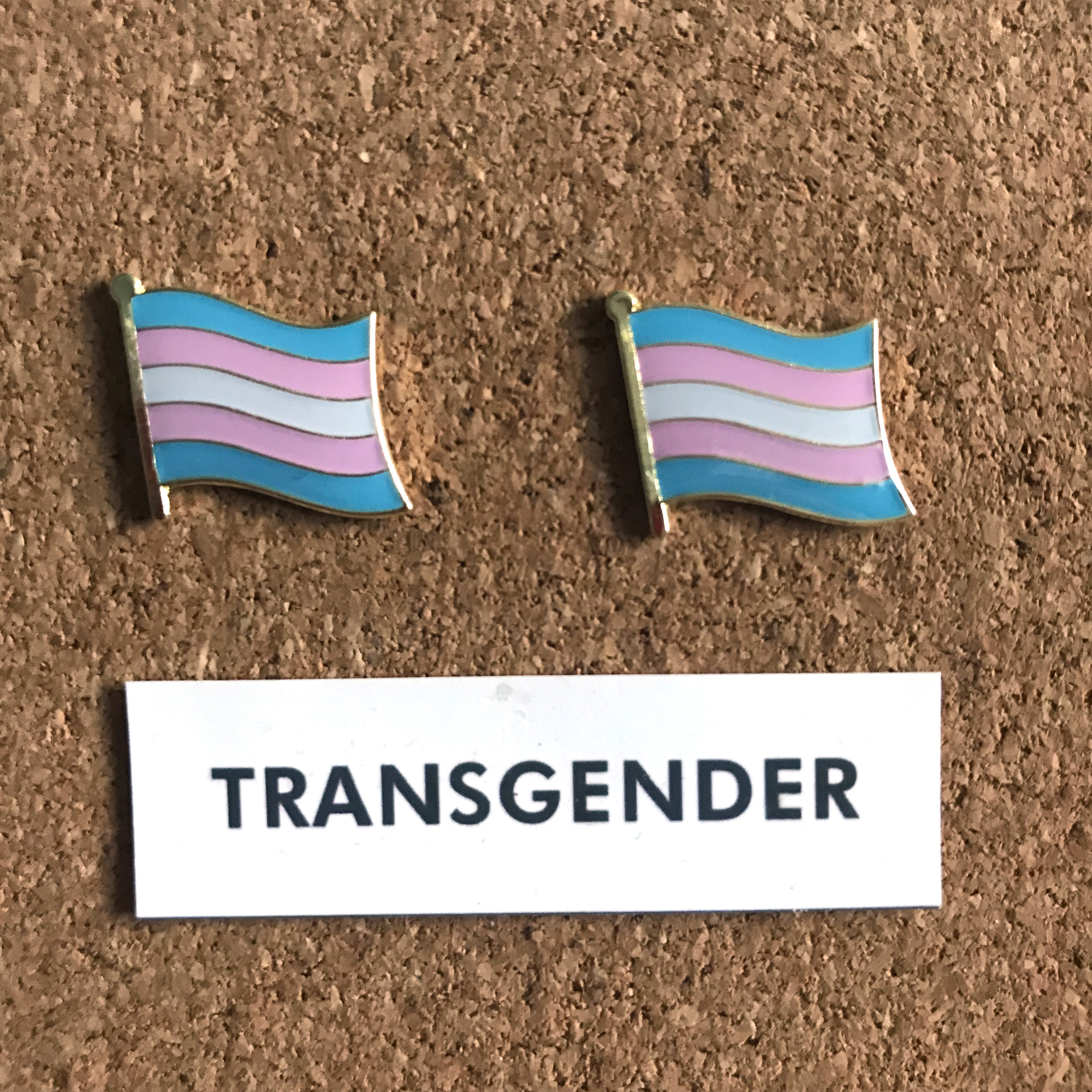 Trans Pride Pin Transgender Flag Pin Badge Trans FTM MTF | Etsy