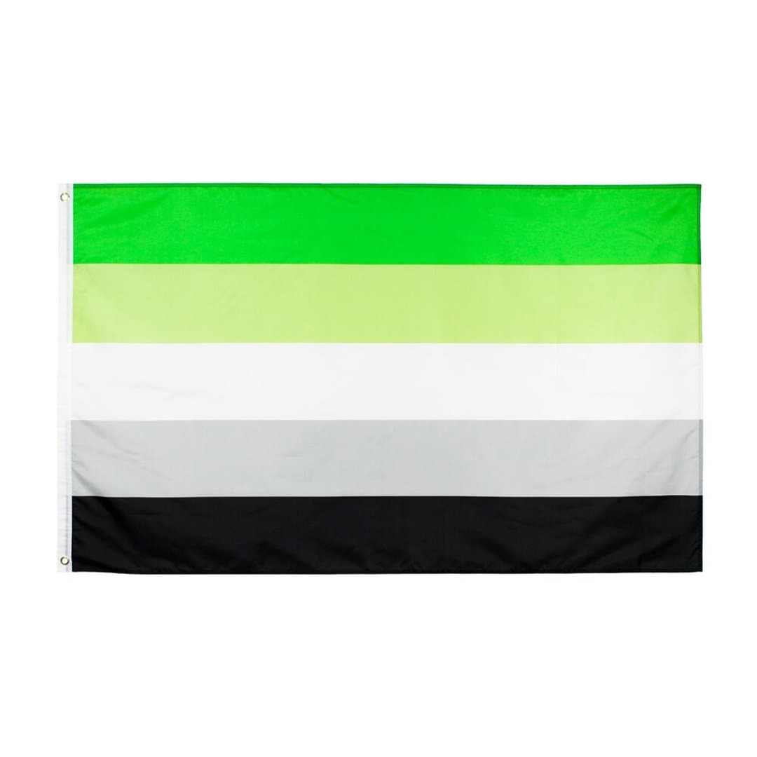 Aromantic Pride Flag Large 5ft X 3ft Aro Pride Flag for Wall Pride ...