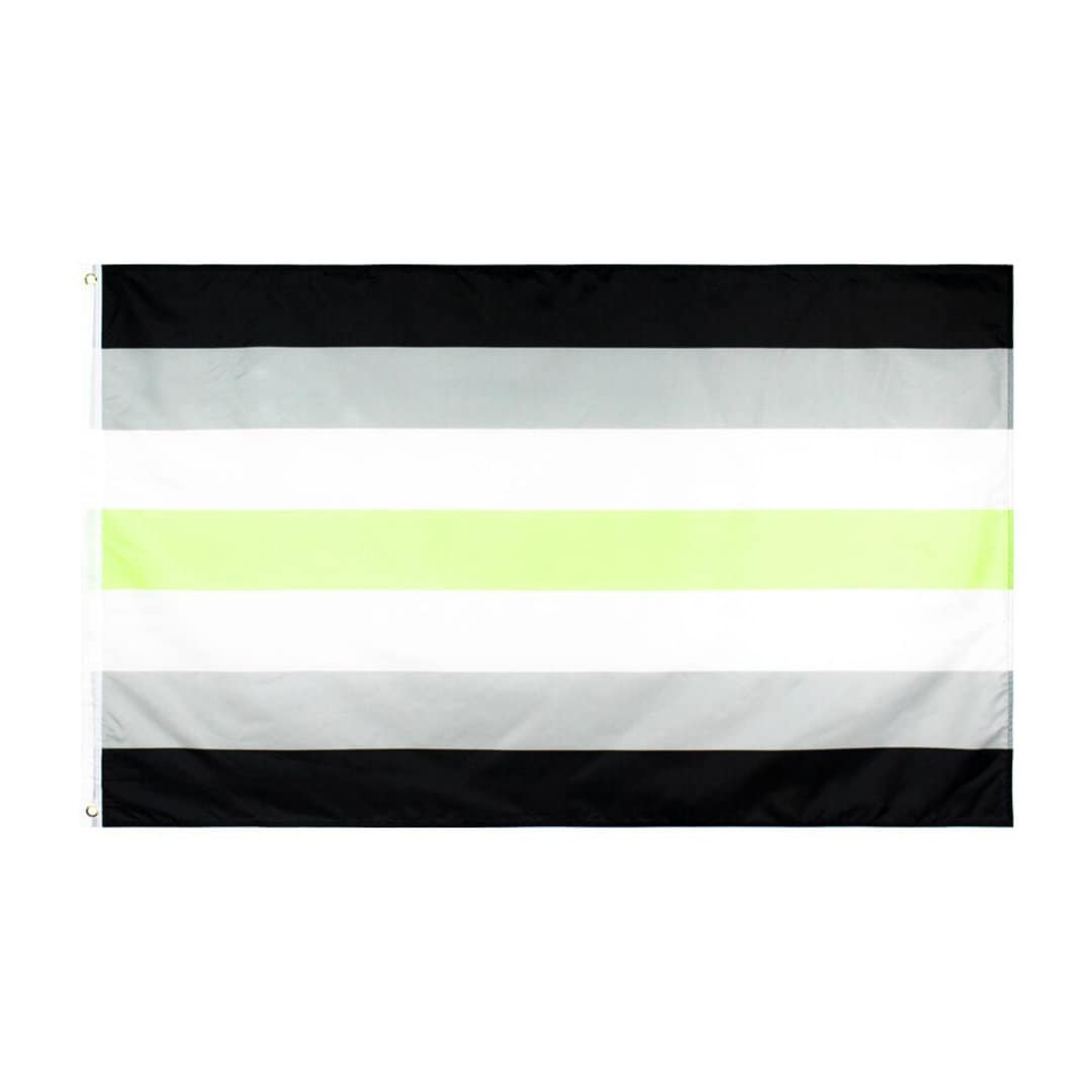 Agender Pride Flag Large 5ft X 3ft Agender Flag for Wall Hanging Pride ...