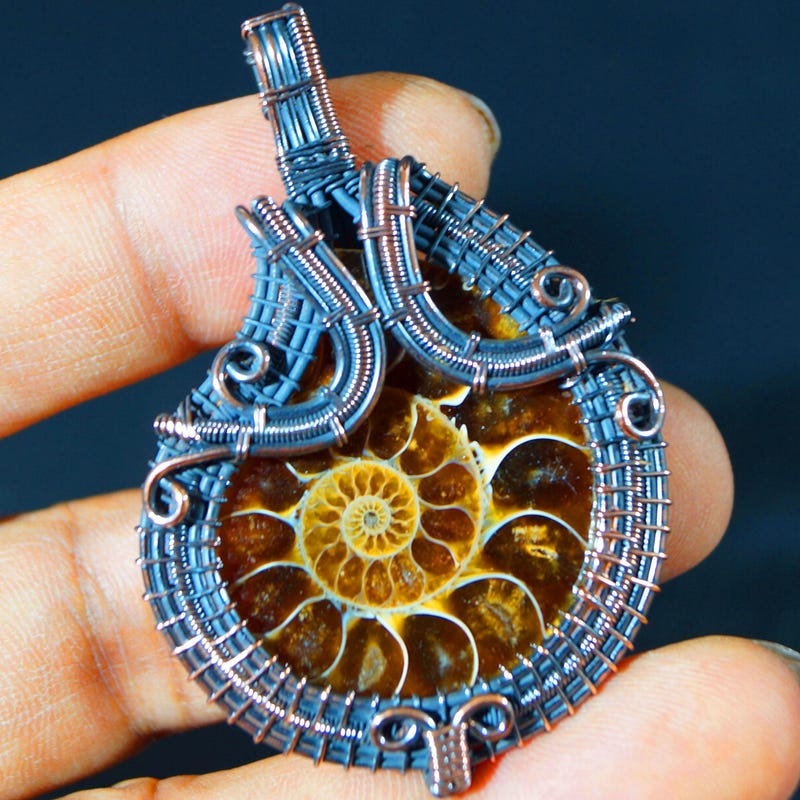 Wire Wrap Ammonite - Etsy