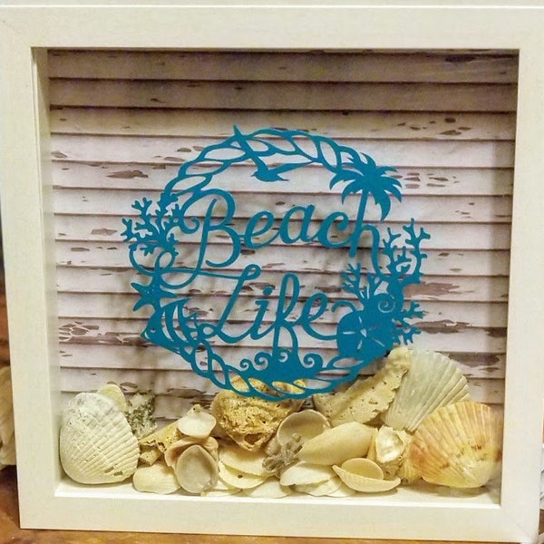 Seashell Shadow Box - Etsy