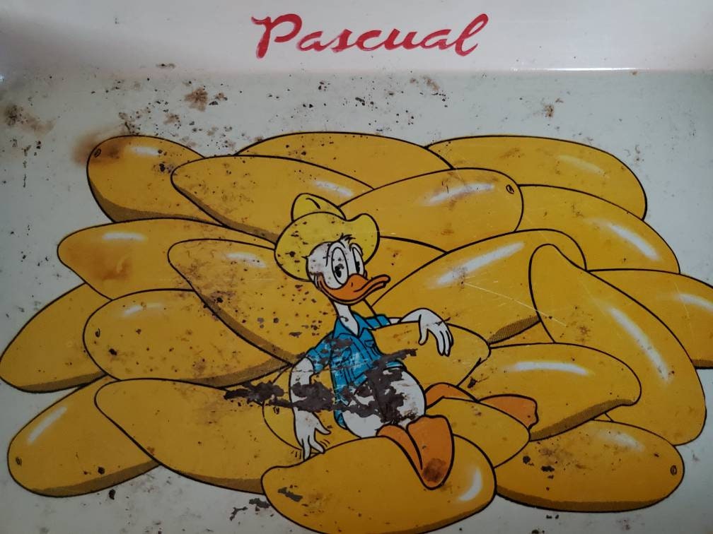 Vintage Rare Pascual Soda Small TIN Tray Mexico DONALD DUCK Harvest ...