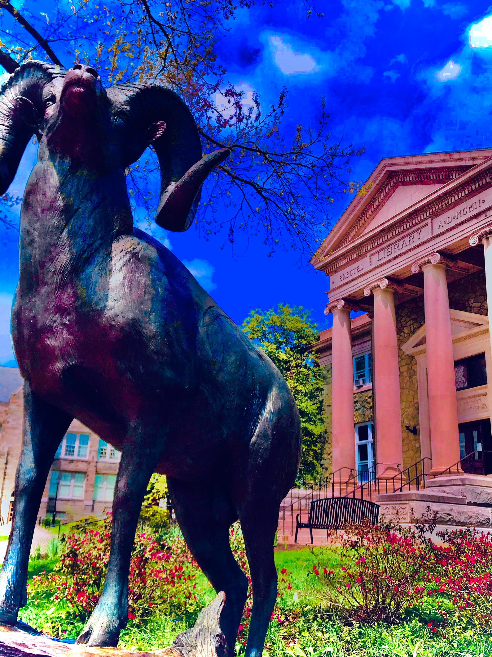 West Chester University Ram Statue - Etsy