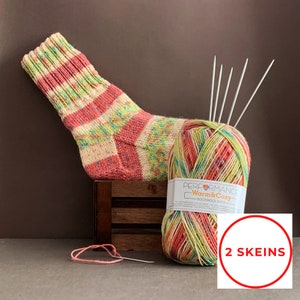 Sock Yarn 2 Skeins Wool Yarn 6 Ply Yarn 75% Superwash Sock Yarn 100gr 3 ...