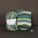 Sock Yarn 2 Skeins Wool Yarn 6 Ply Yarn 75% Superwash Sock Yarn 100gr 3 ...