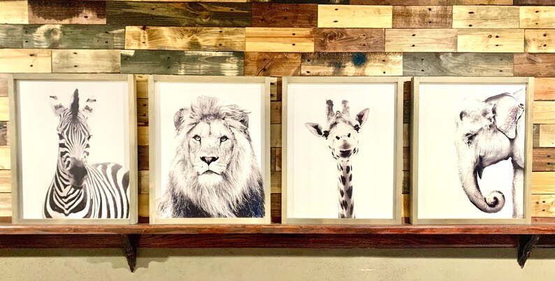 Safari Animal Wood Framed Canvas Sign Set of 4 | Animal Sign Set | High ...