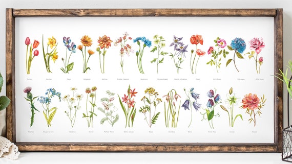 Spring Flower Names And Pictures