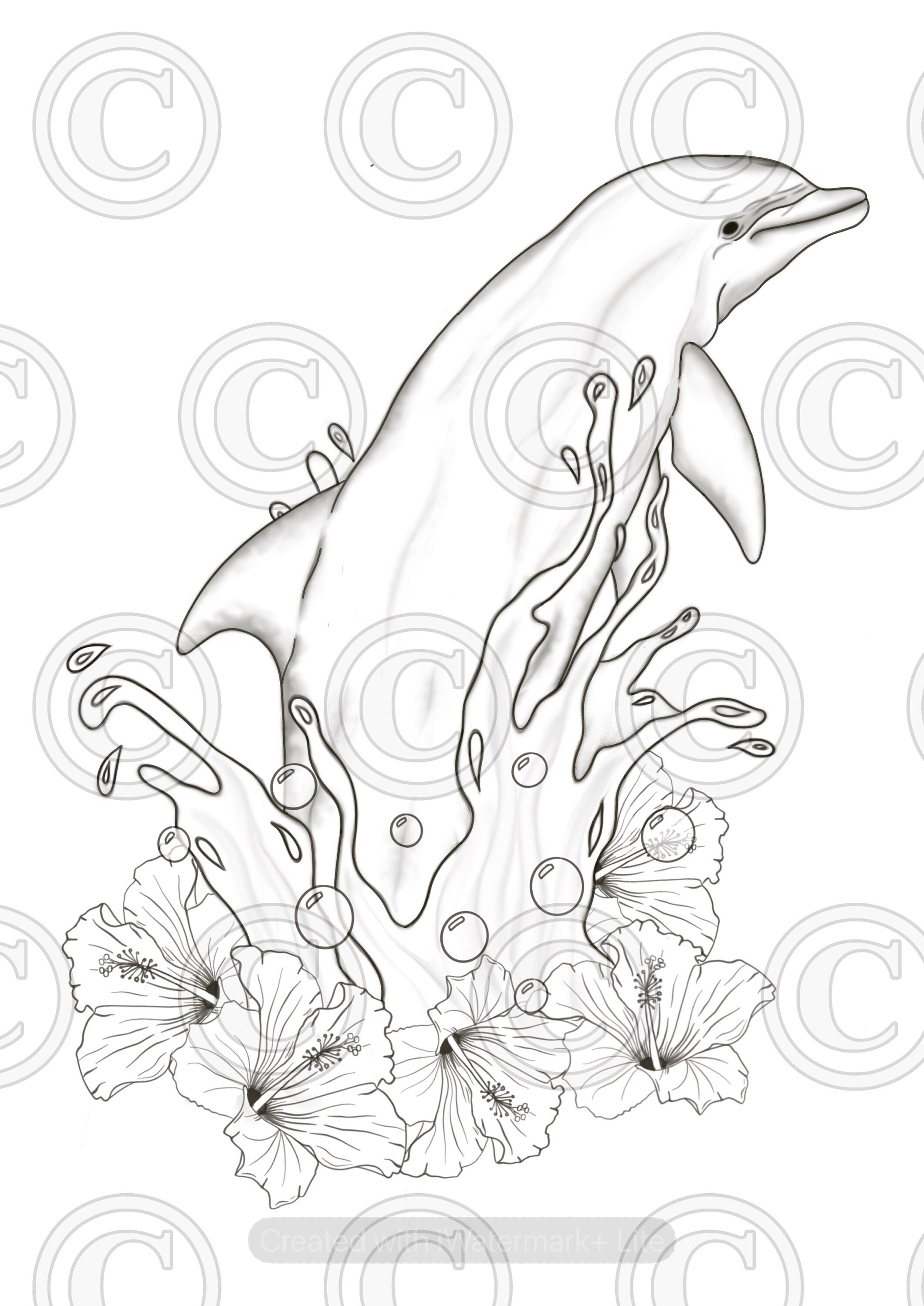 Splatter Coloring Pages