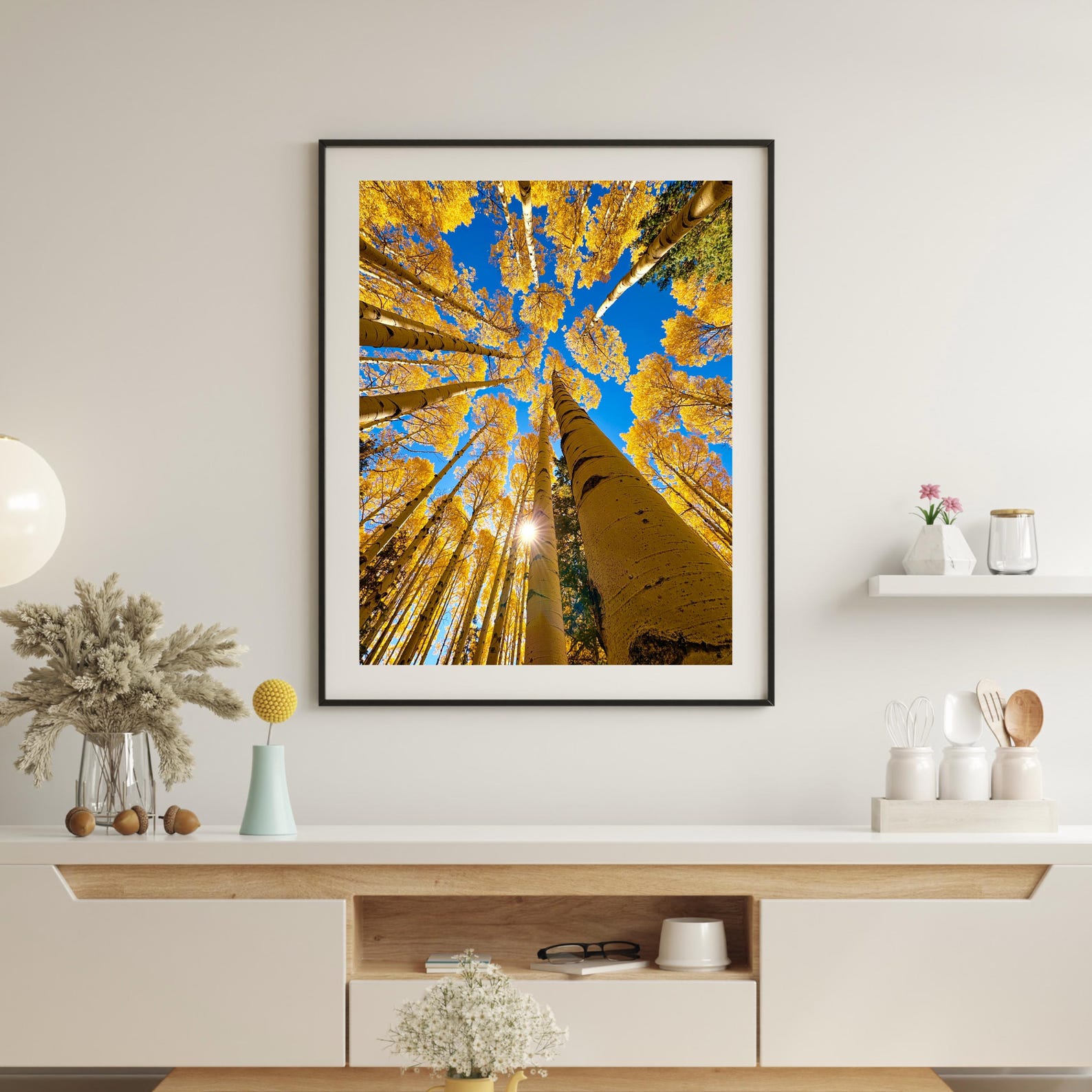 Flagstaff Aspen Trees, Mount Humphreys Arizona. Digital Download, Fine ...