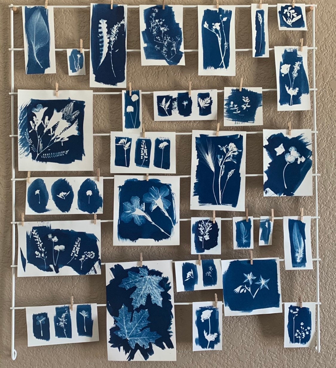 Grassy Triptych Cyanotype Print 3.25 X 5 Inches - Etsy