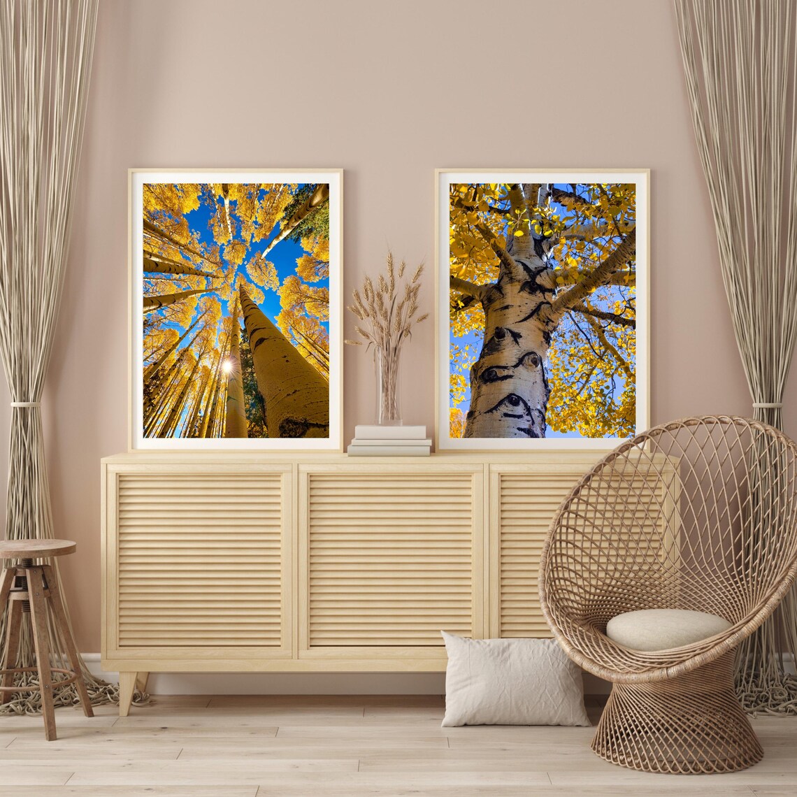 Flagstaff Aspen Trees, Mount Humphreys Arizona. Digital Download, Fine ...
