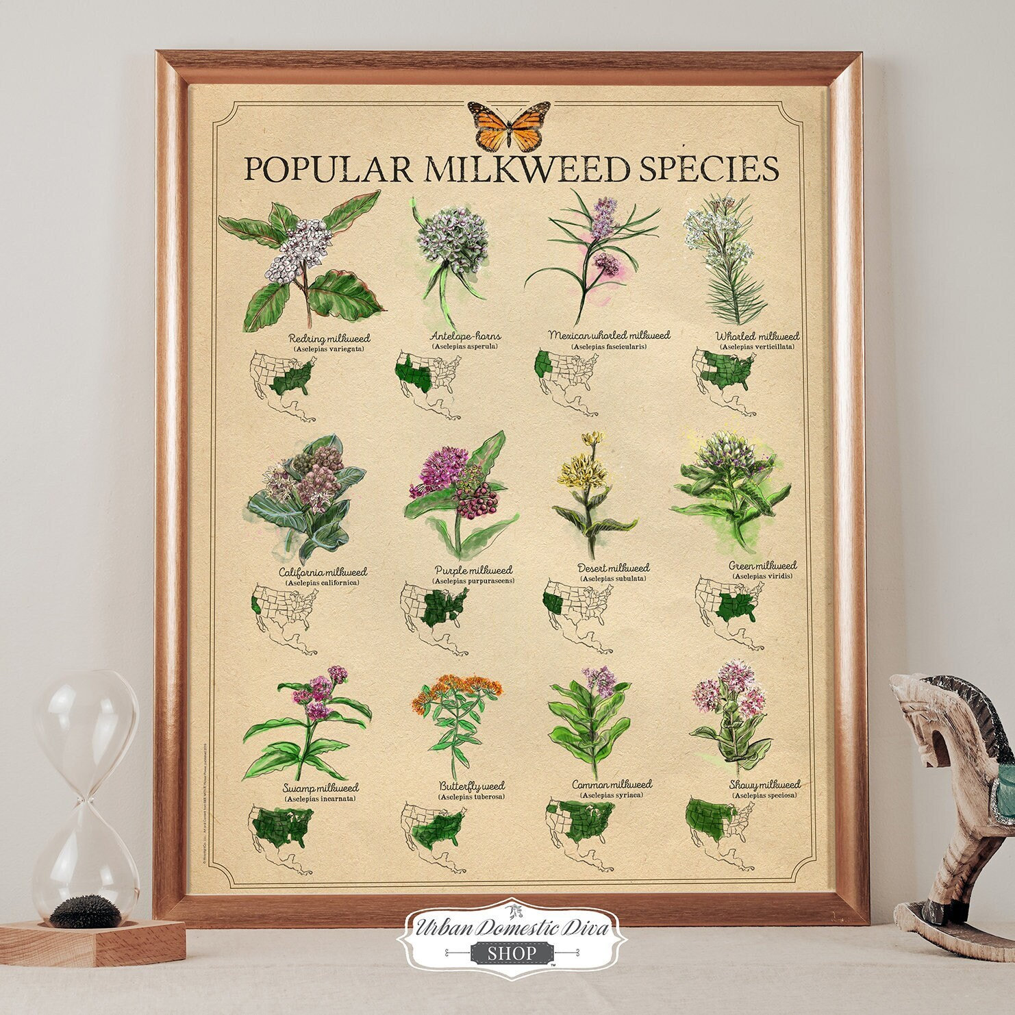 Milkweed Monarchs Poster, Native Plants Poster, Vintage Wildflower ...