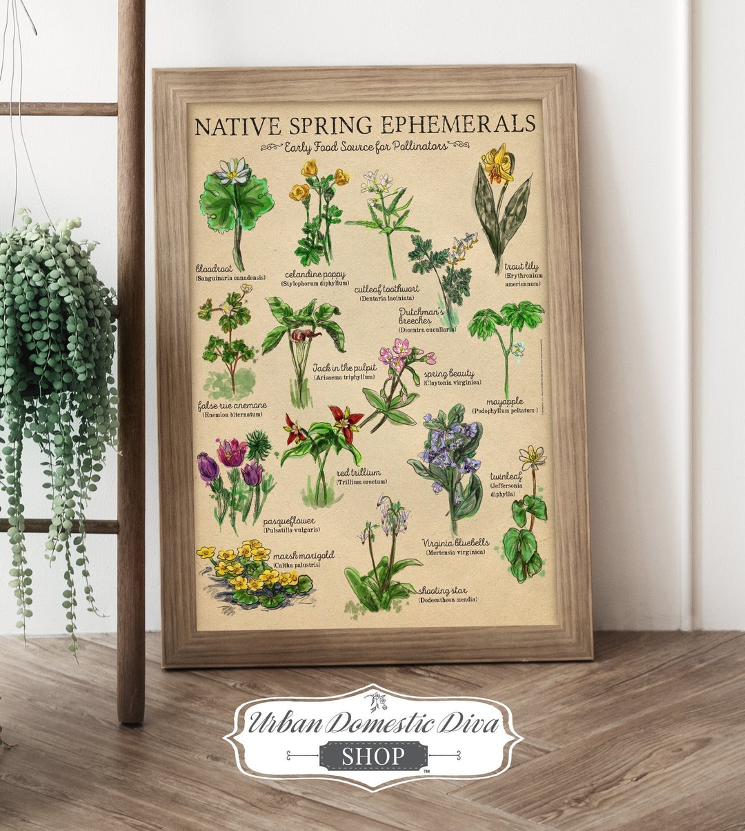Spring Wildflower Print, Pollinator Plants Poster, Vintage Wildflower ...