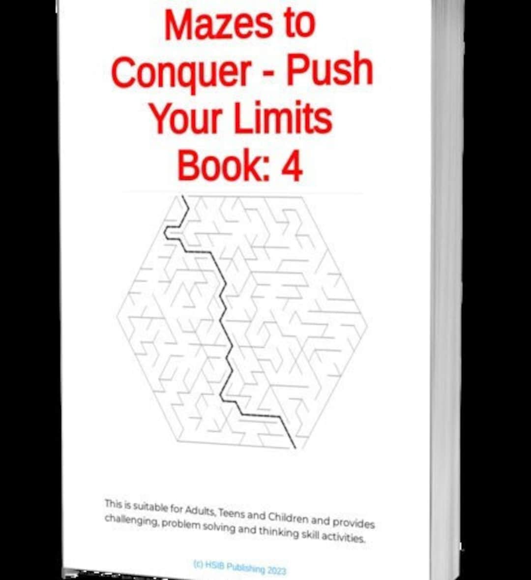 Mazes to Conquer Activities- Maze Puzzle Books for Adults & Teens ...