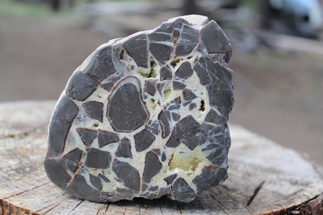 Septarian Nodule Half Septarian Display Stone Dragon Egg Rock Septarian ...