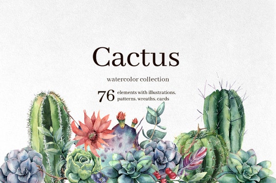 Succulent Clipart. Watercolor Cactus Clipart. Watercolor | Etsy