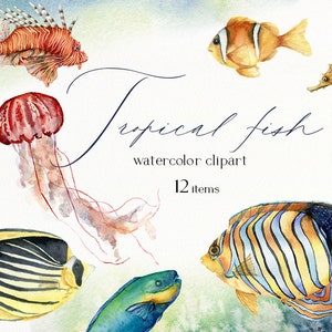 Watercolor tropical fish clipart. Sea ocean life clipart. | Etsy