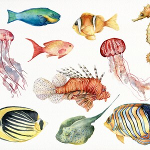 Watercolor tropical fish clipart. Sea ocean life clipart. | Etsy