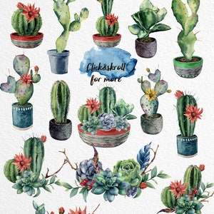 Succulent Clipart. Watercolor Cactus Clipart. Watercolor | Etsy