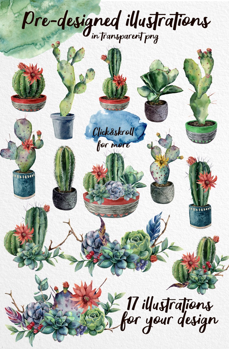 Succulent Clipart. Watercolor Cactus Clipart. Watercolor | Etsy