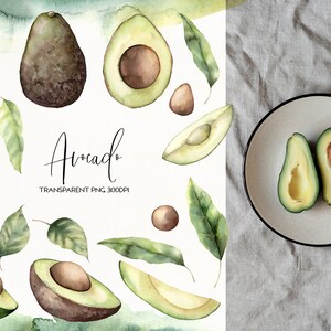 Watercolor avocado clipart. Exotic fruit. Watercolor logo. | Etsy