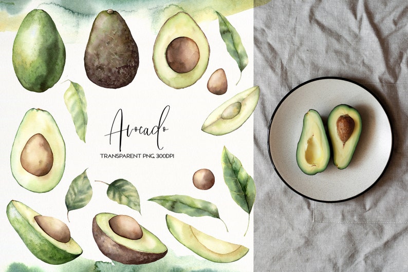 Watercolor Avocado Clipart. Exotic Fruit. Watercolor Logo. | Etsy
