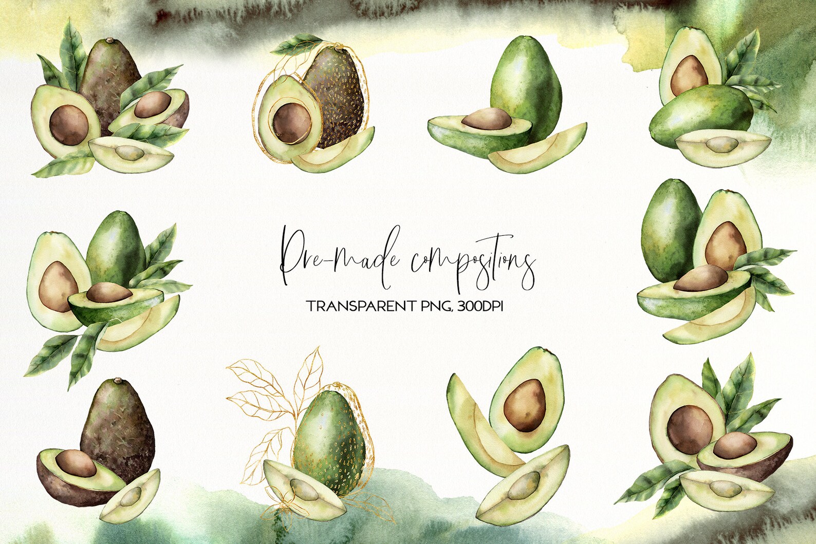 Watercolor avocado clipart. Exotic fruit. Watercolor logo. | Etsy