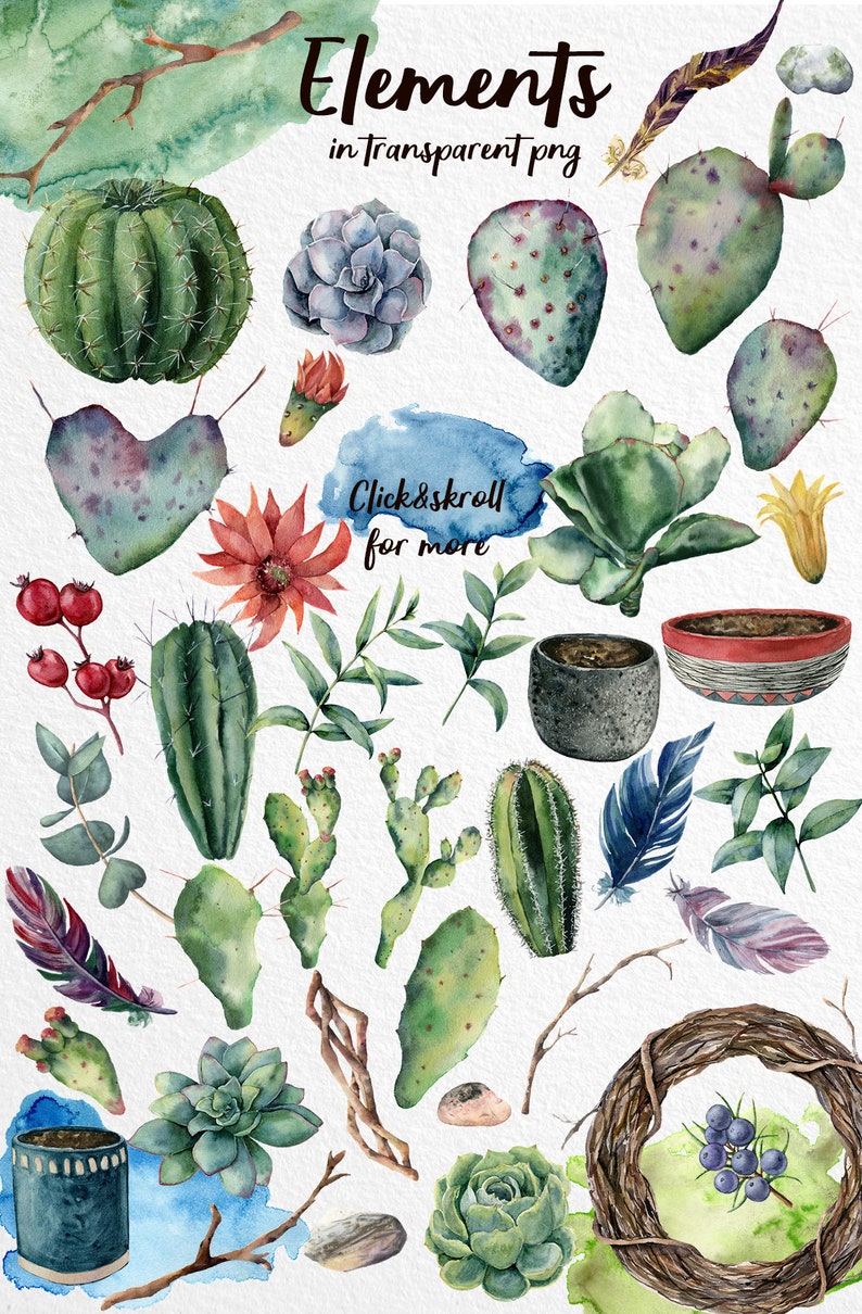 Succulent Clipart. Watercolor Cactus Clipart. Watercolor | Etsy