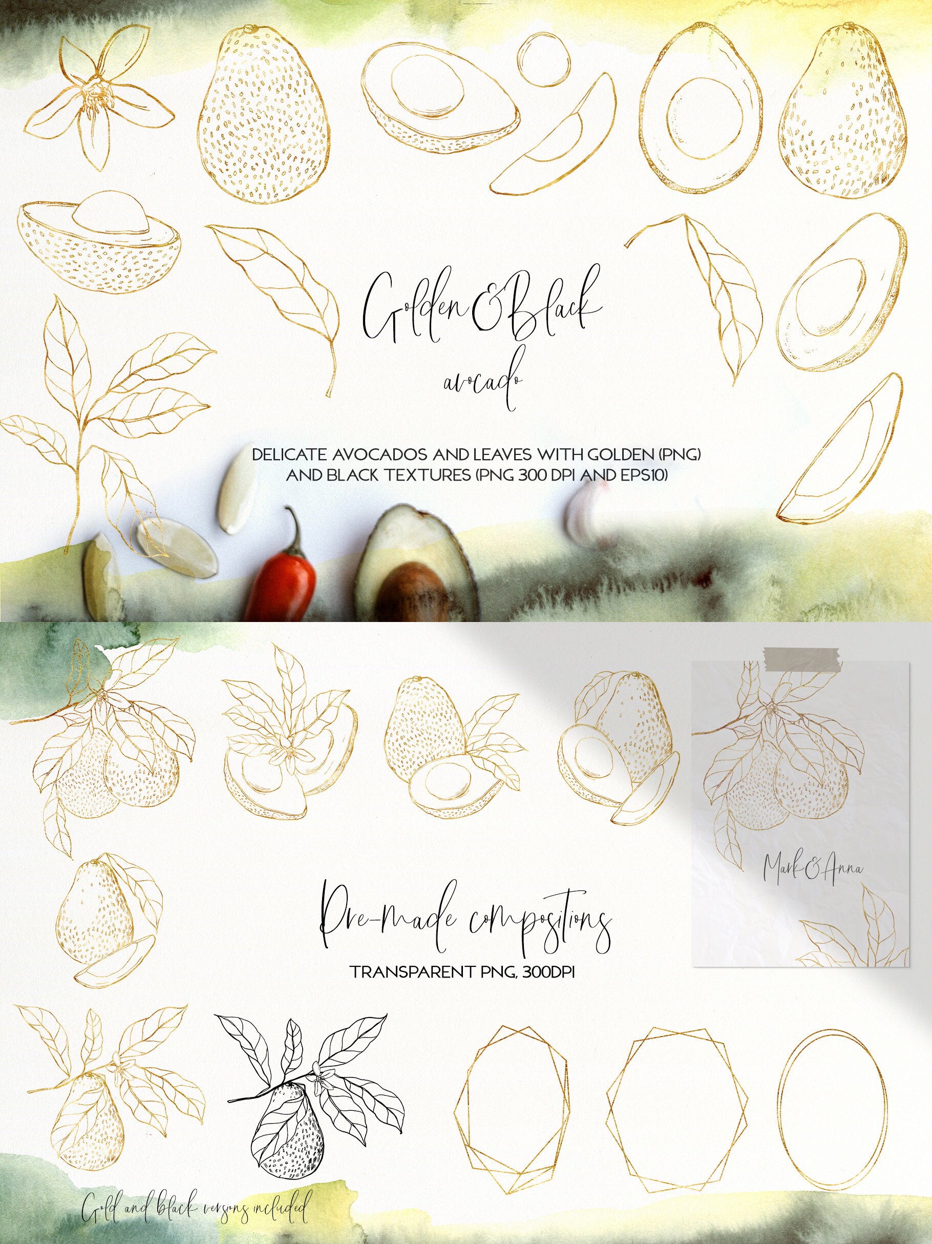 Watercolor avocado clipart. Exotic fruit. Watercolor logo. | Etsy