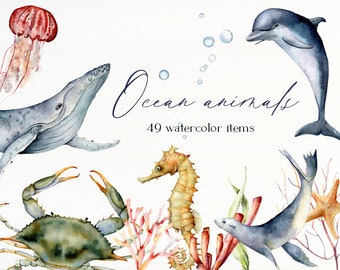 Sea ocean underwater life clipart Dolphin whale jellyfish sealion ...