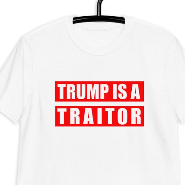 Trump is a Traitor Sticker - Etsy