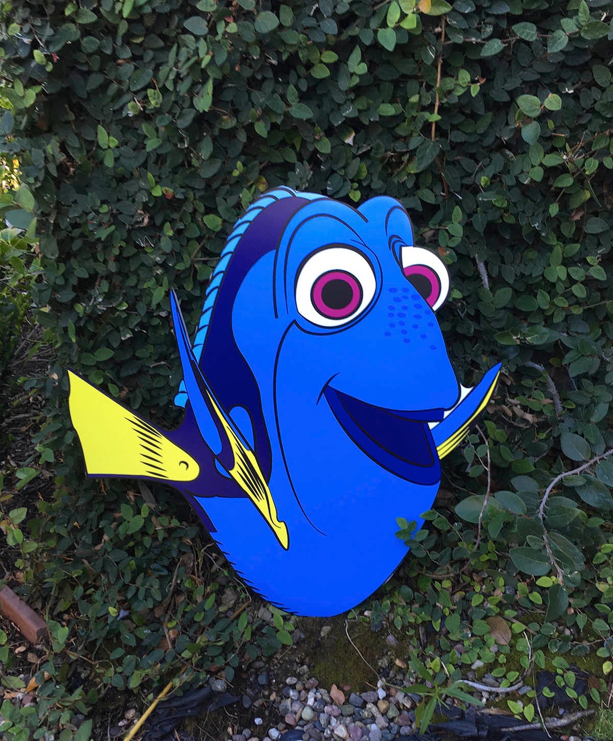 1 Finding Nemo - Finding Dory Character Cutout - Finding Nemo Party ...