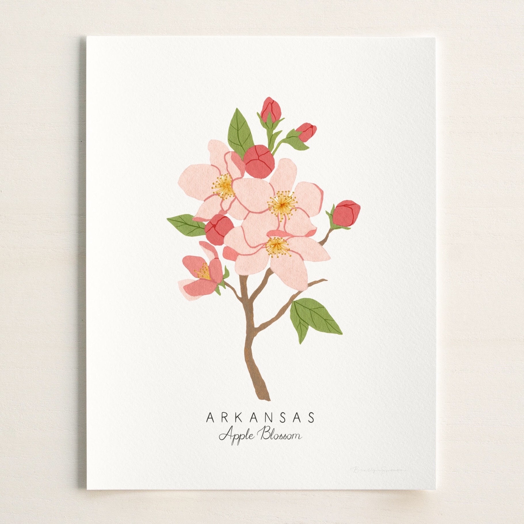 Arkansas State Flower Print | CUSTOMIZABLE | Apple Blossom Flower ...