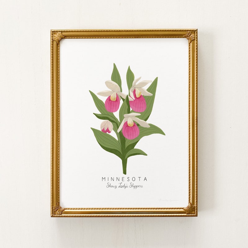 Showy Lady Slipper Art - Etsy