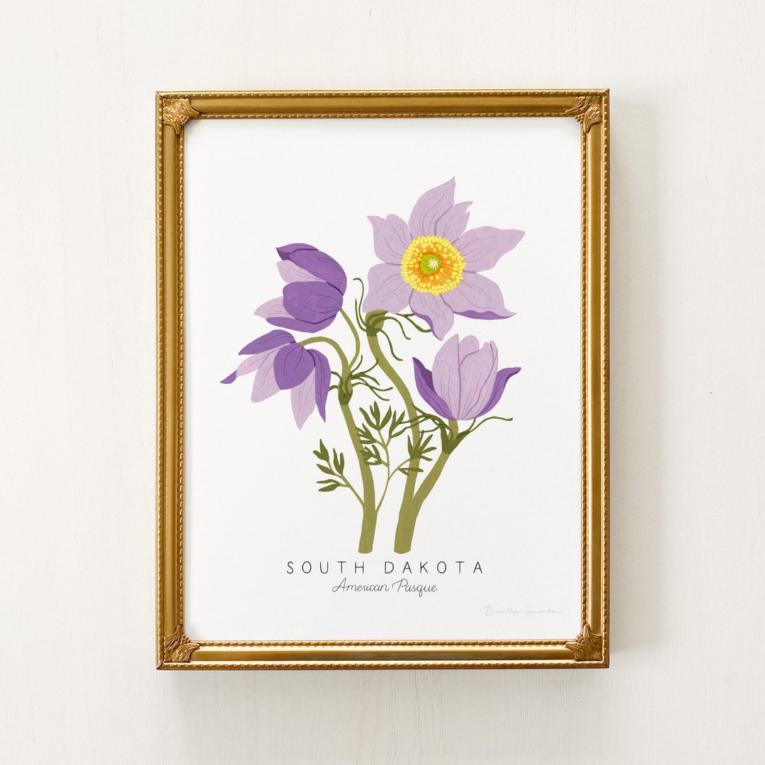 South Dakota State Flower Print | CUSTOMIZABLE | Pasque Flower Print ...