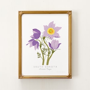South Dakota State Flower Print | CUSTOMIZABLE | Pasque Flower Print ...