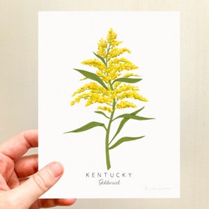 Kentucky State Flower Print | CUSTOMIZABLE | Goldenrod Print, Kentucky ...