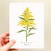 Kentucky State Flower Print | CUSTOMIZABLE | Goldenrod Print, Kentucky ...