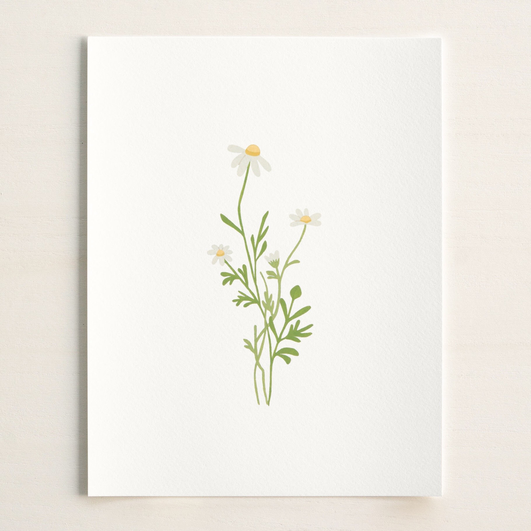 April Birth Flower Print April Birth Month Flower Daisy | Etsy