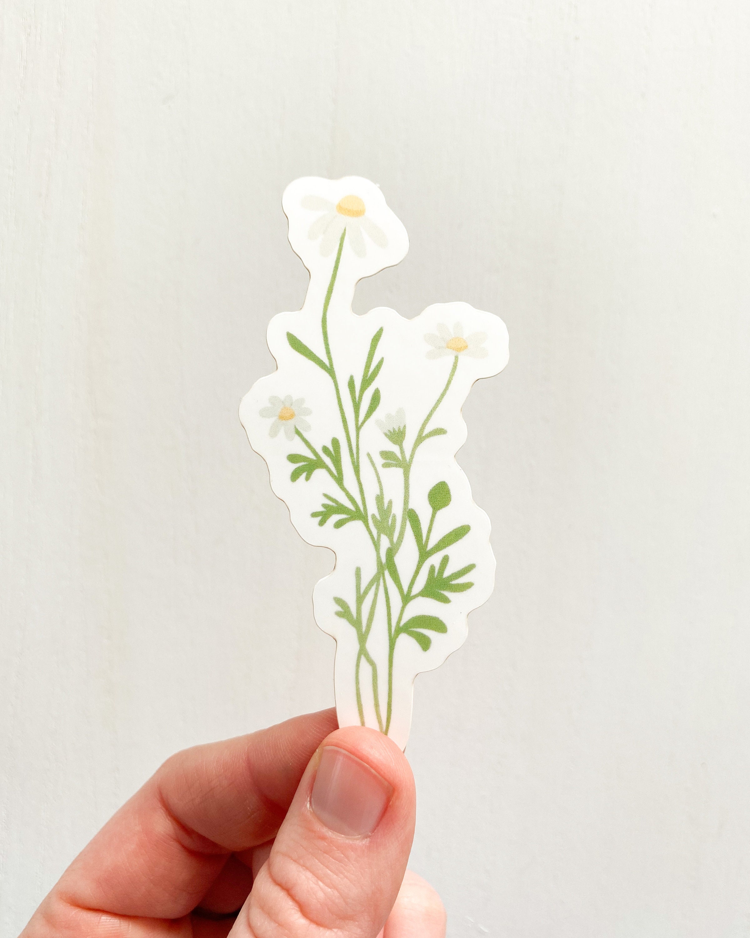 April Birth Flower Sticker April Birth Month Flower Daisy - Etsy